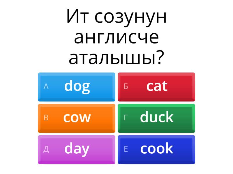 Repeating Animals - Quiz