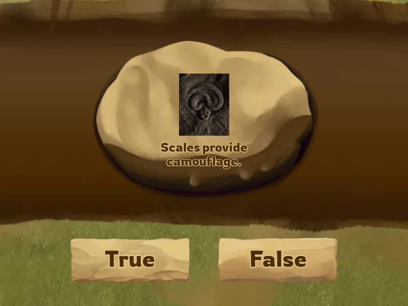 Functions of scales - True or false