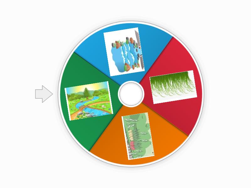 Ce vedem în imagine? - Spin the wheel