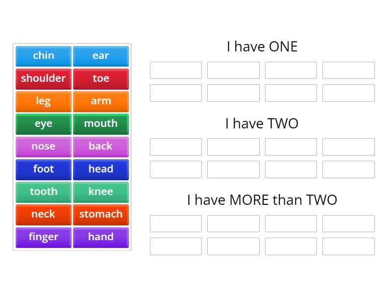 Body Parts Sort - How Many? - Group sort