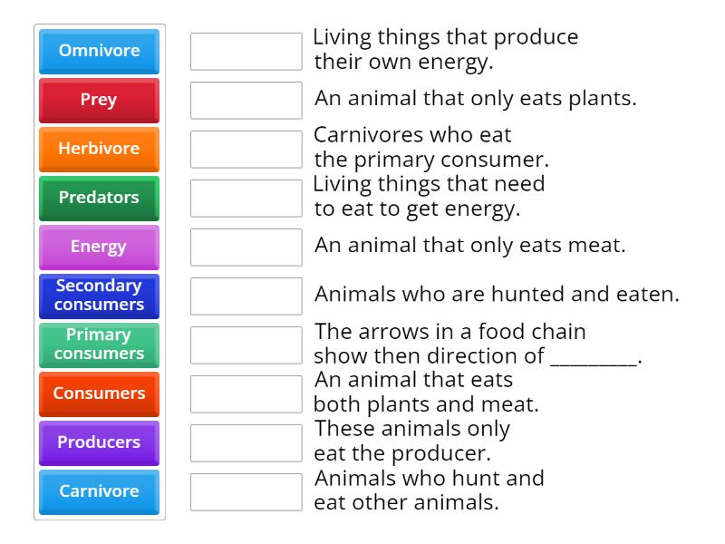 Food chains - Match up