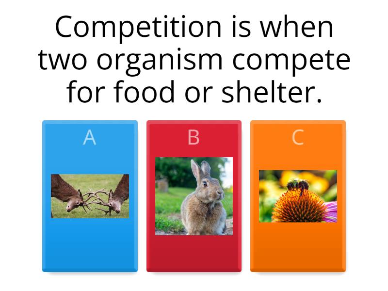 Interaction in an ecosystem - Quiz