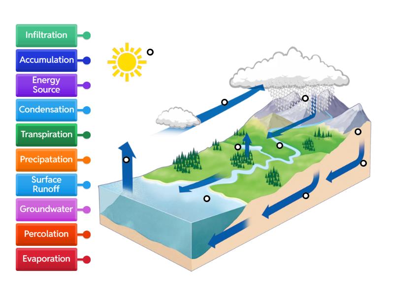 Water Cycle Labeled Diagram - Labelled diagram