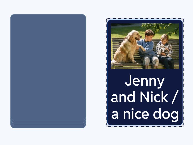 Have/has got - Speaking cards