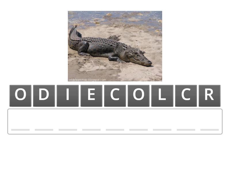 KB1 U7 Wild animals names - Anagram