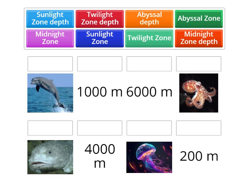 Ocean Zones - Match up