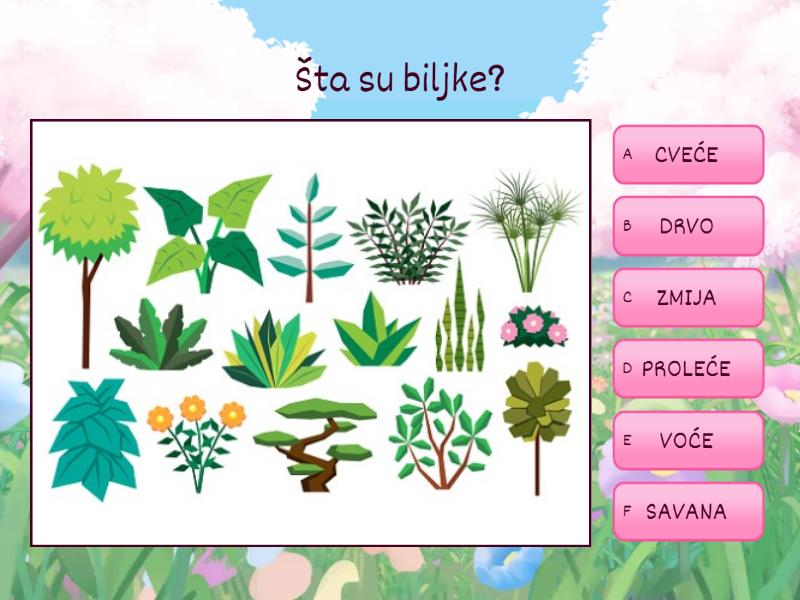 BILJKE - Quiz