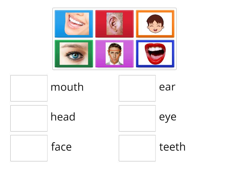Kid's box 1 unit 6 words - Match up