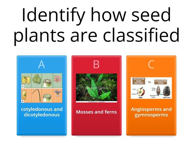 Plants with seeds - Quiz