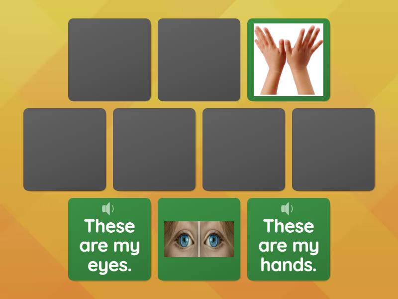 My Senses - Matching pairs