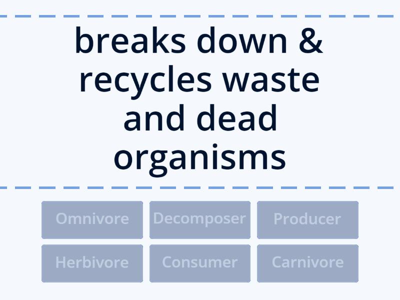 Roles in an Ecosystem - The Basics - Find the match