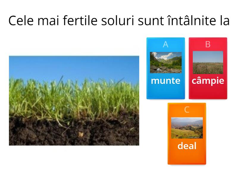 Vegetația, fauna și solurile României - Quiz