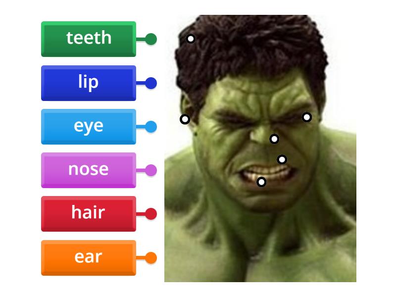 Face+Head Hulk parts of the body AS - Labelled diagram