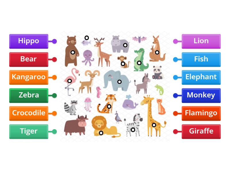 Wild animals II - Labelled diagram