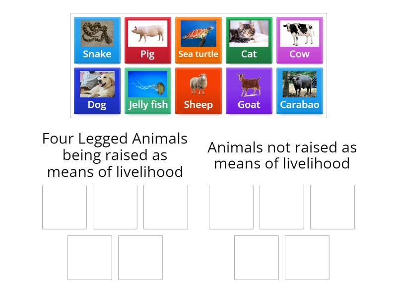 Identify four legged animals being raised as means of livelihood ...