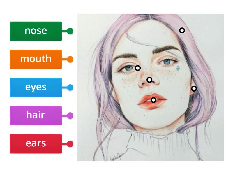 Face - Labelled diagram