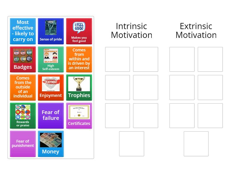 Intrinsic And Extrinsic Motivation Group Sort