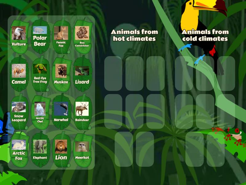 Hot and cold animals - Group sort