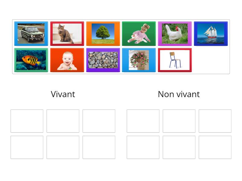 Vivant ou non vivant ? - Classificação em grupos