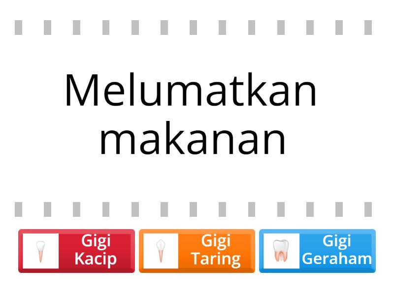 Fungsi Gigi - Find the match