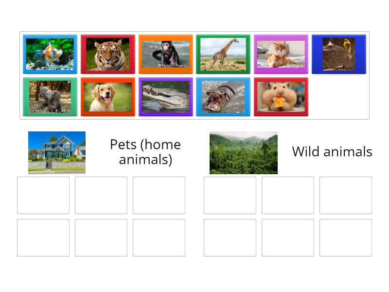 Wild animals and pets - Group sort
