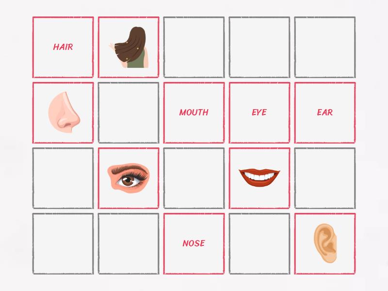 2ND GRADE - FACE/CARE - Matching pairs
