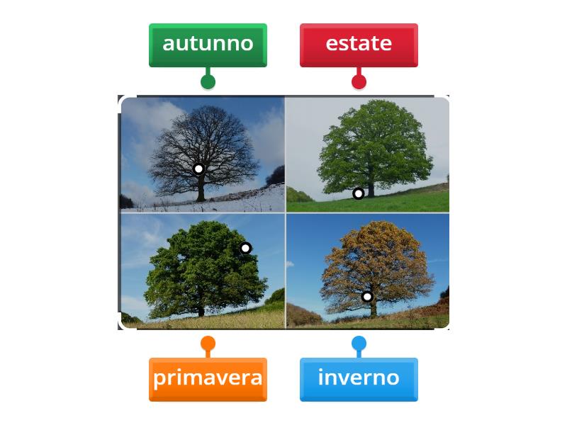 Le 4 stagioni - Labelled diagram