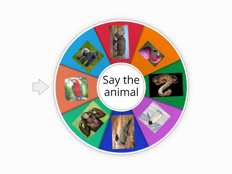 Animals at the zoo - Spin the wheel
