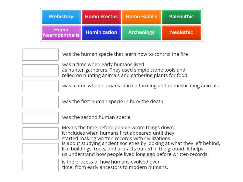 Prehistory - Match up