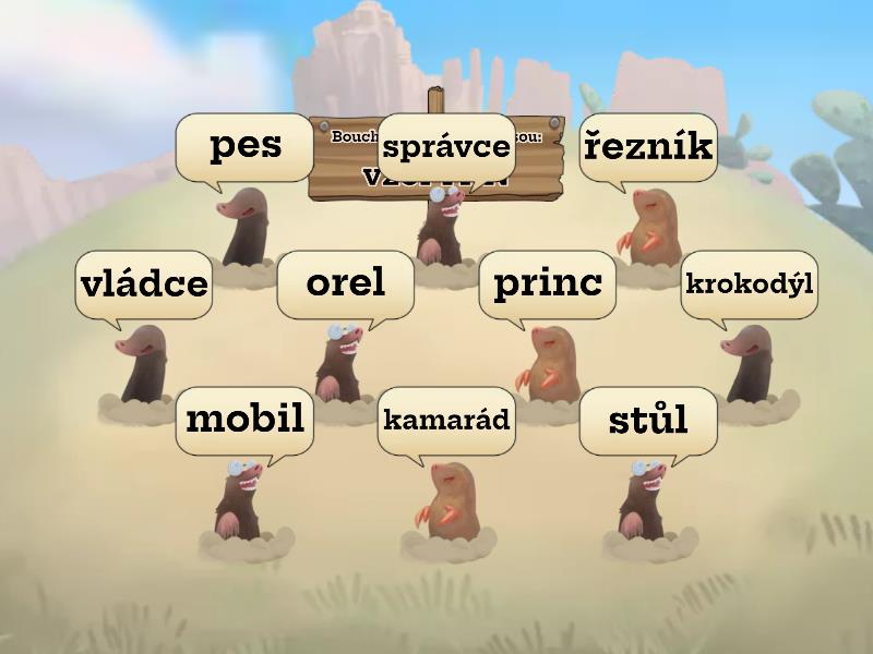 VZORY PODSTATNÝCH JMEN (M): vzor pán - Whack-a-mole