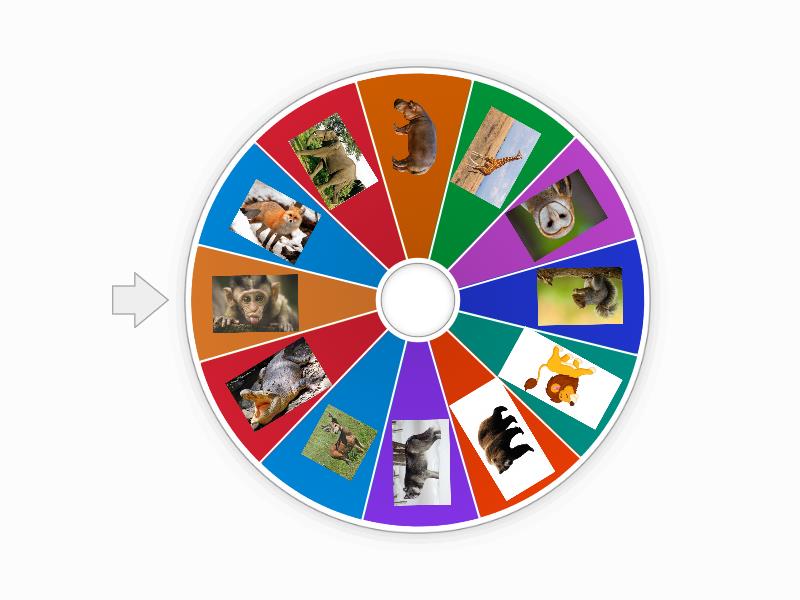 Wild animals - Spin the wheel