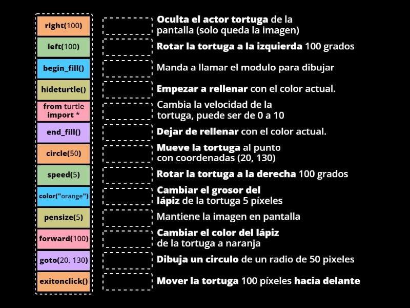Python Turtle: Funciones Básicas - Match up