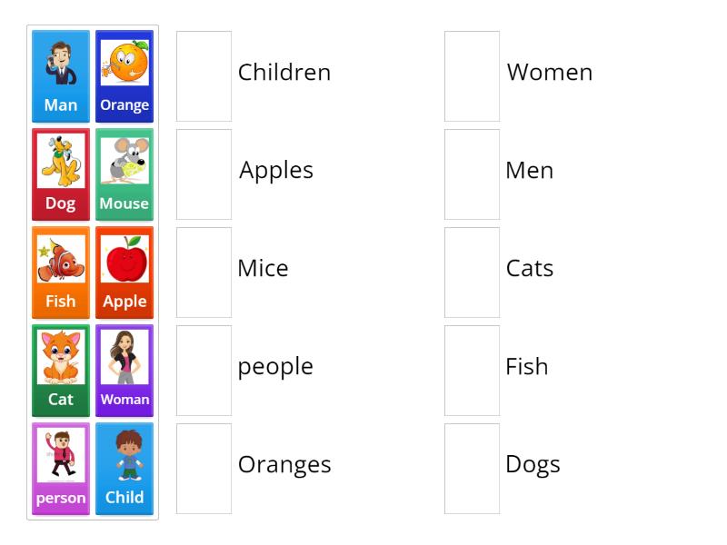 LF1A - Plural Nouns - Match up