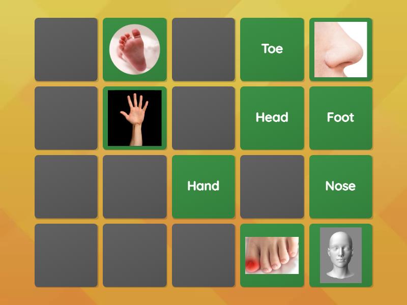 Body Parts - Memory Game - Matching pairs