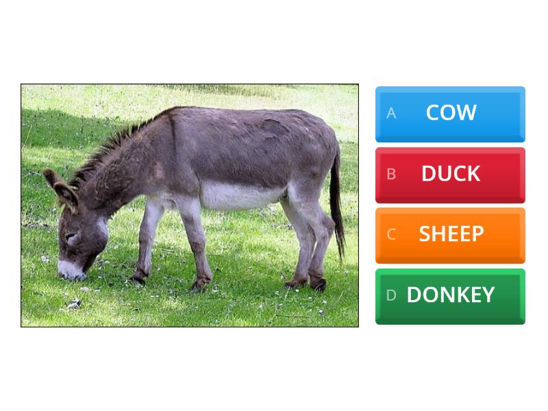 LEVEL 1 - FARM ANIMALS - quiz - Cuestionario