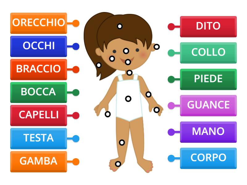 COLLEGA LE PARTI DEL CORPO - Labelled diagram
