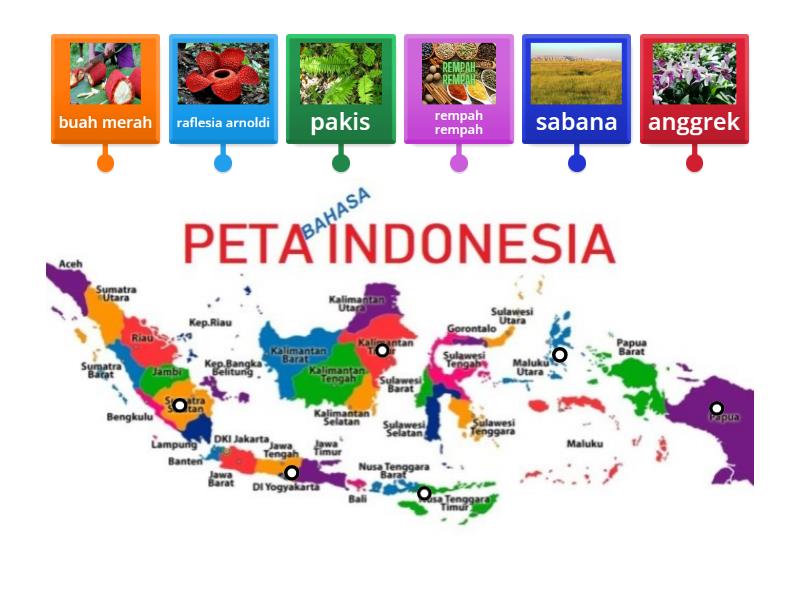 PETA PERSEBARAN FLORA INDONESIA - Labelled diagram