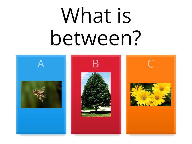 Left, Right and Between - Quiz