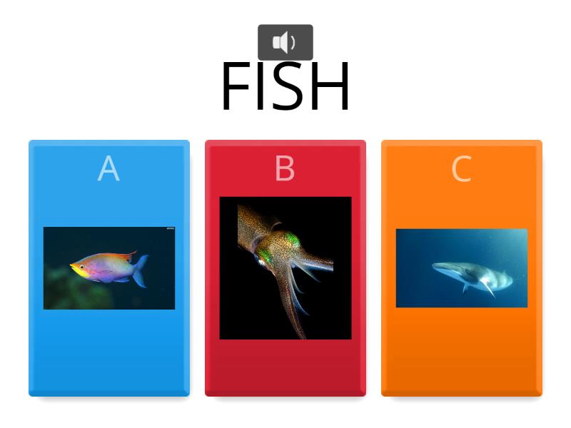 (8) OCEAN ANIMALS - Quiz