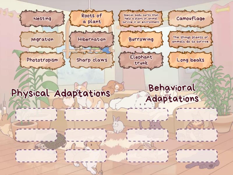Physical and Behavioral Adaptations - Group sort