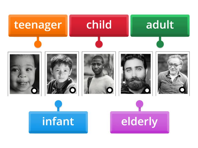 G3 life stages - Labelled diagram