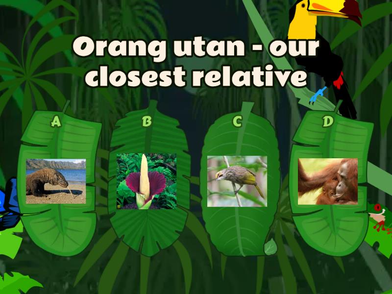 Here are some of our endangered friends. Do you know them all? Match ...