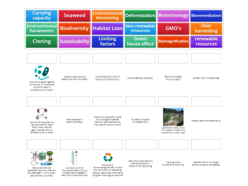 Human impact and biodiversity - Match up