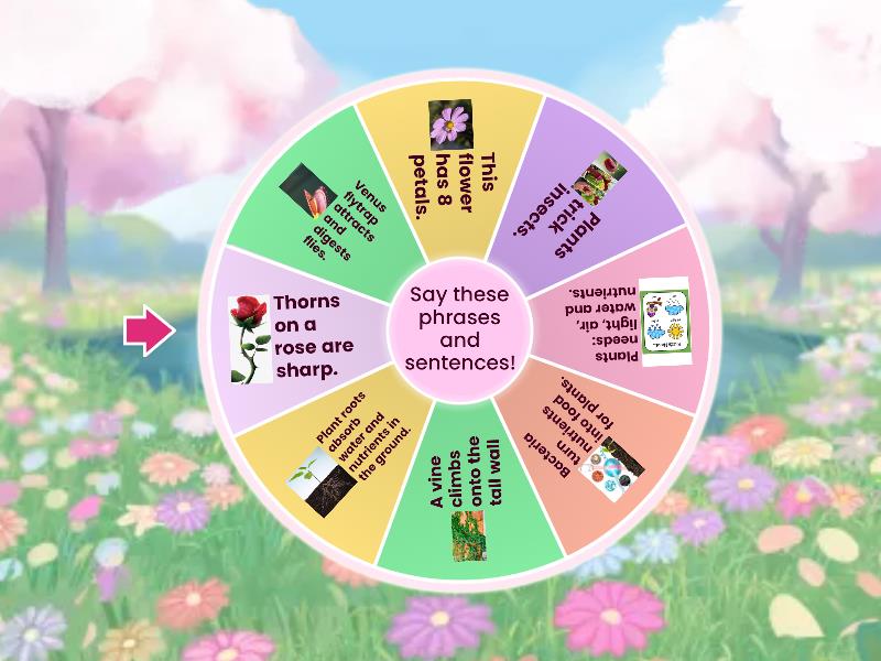 Our World 5: Unit 6 - Amazing Plants! - Spin the wheel