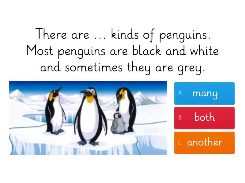 Penguins - Quiz