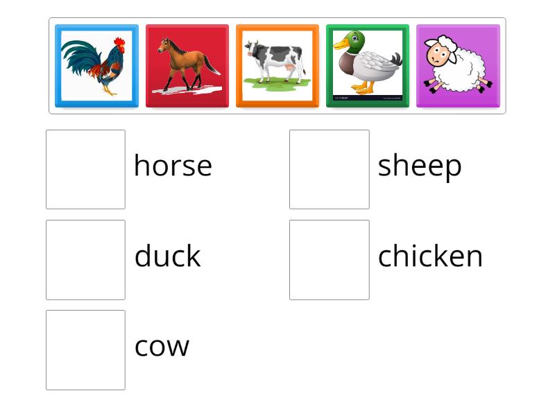 farm animal - Match up