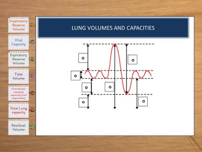 Spirometer trace - Labelled diagram
