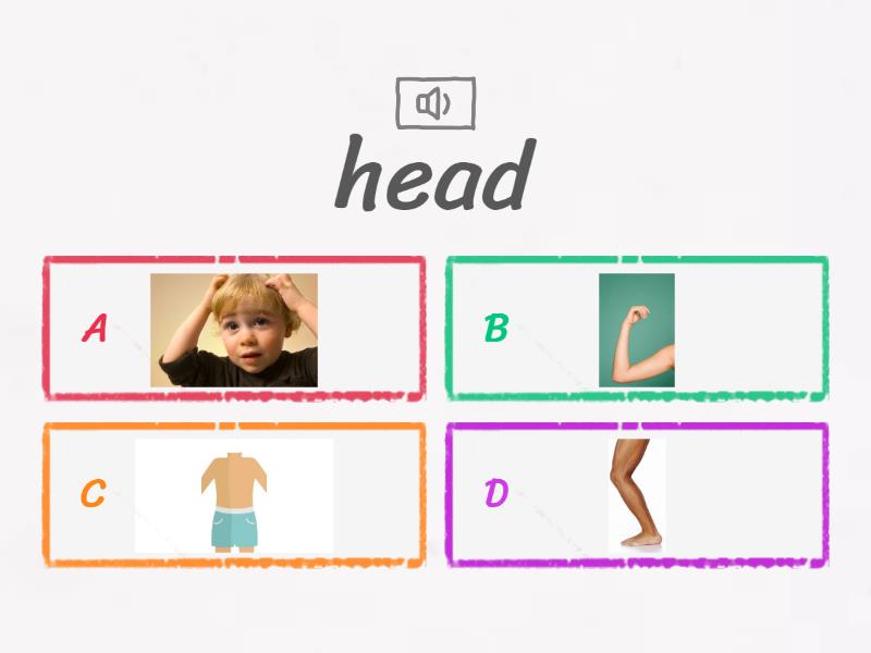 Part of the body - Head, body, arms and legs - Quiz