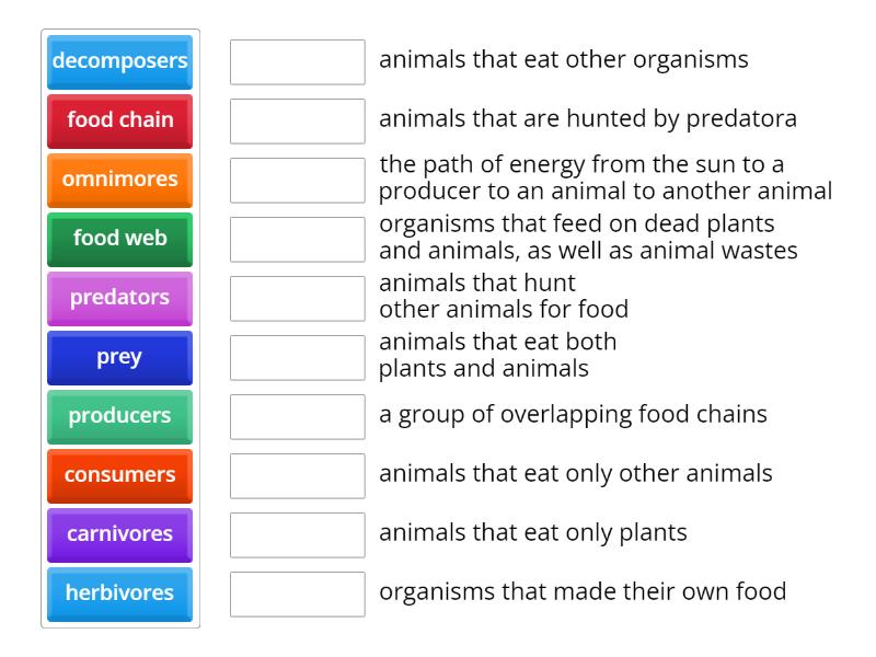 Food Chains & Food Webs Vocabulary - Match up