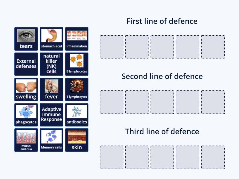 Immune system - The 3 lines of defence - Group sort